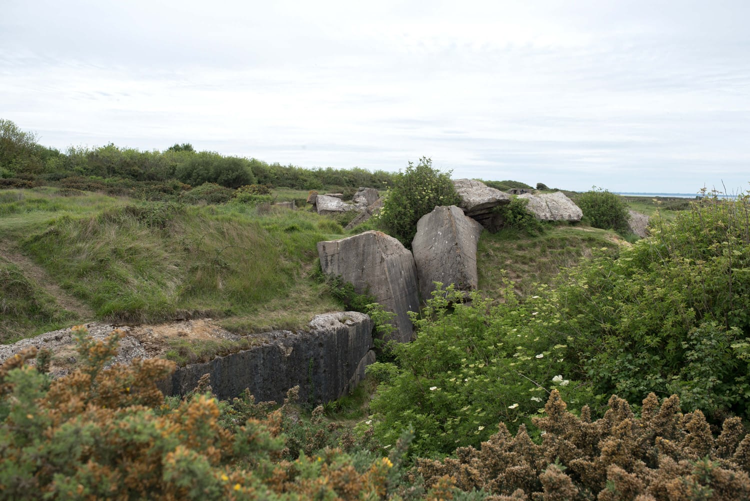 A D Day tour in Normandy France is the best way to see the battle sites.
